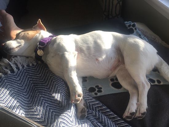 Don't Shame the Angels | Heidi Ann Harner - Blog