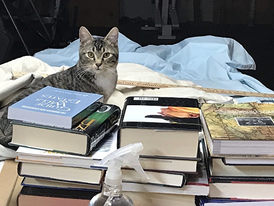 The Easy Way to Flatten a Warped Watercolor Painting | Janine Helton - Blog