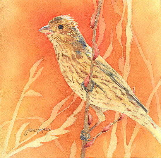 Masking Fluid Magic | Janine Helton - Blog