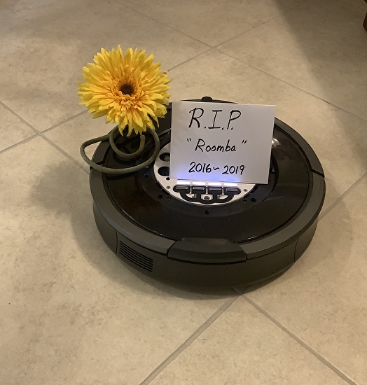 The Death of Roomba: Lessons Learned | Paula Willits - Blog