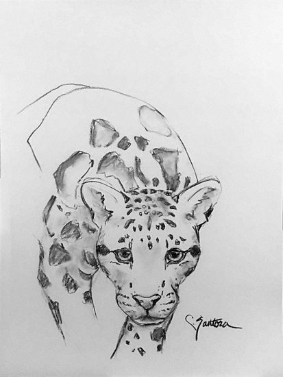 100 Day Project - Day 84 - Drawing | Carol Santora - Blog