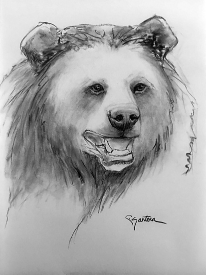 100 Day Project - Day 85 - Drawing | Carol Santora - Blog