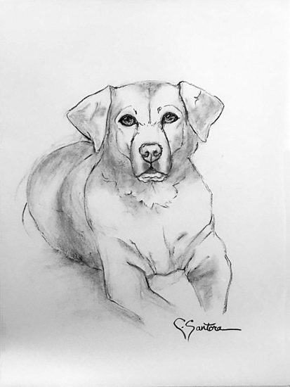 100 Day Project - Day 98 - Drawing | Carol Santora - Blog