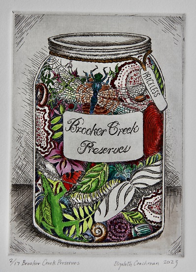 Brooker Creek Preserved in Paintings and Prints | Elizabeth Coachman - Blog